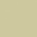 Johnstone's Trade Dancing Kite Paint