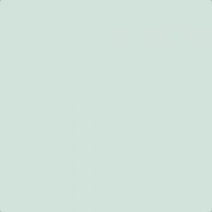 Paint | Allen Braithwaite