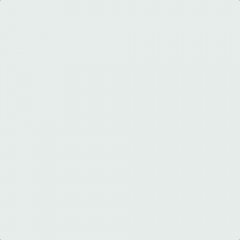 Paint | Allen Braithwaite